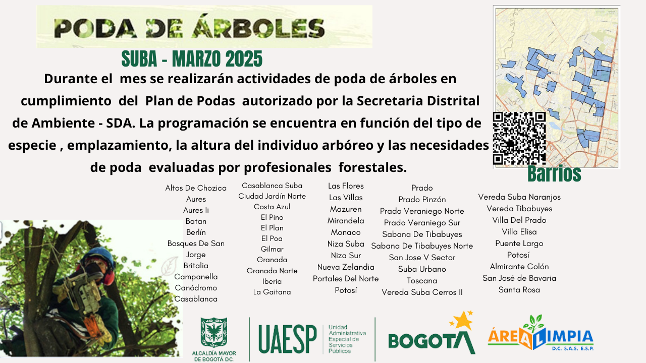 PODA DE ÁRBOLES – MARZO 2025 – Área Limpia